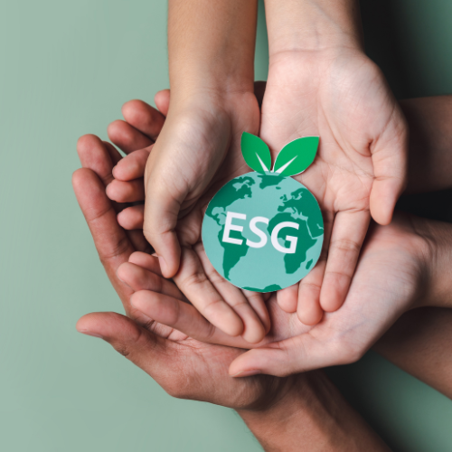 Poptávka po ESG roste: upevňují si své místo na trhu. | 4xbroker.cz
